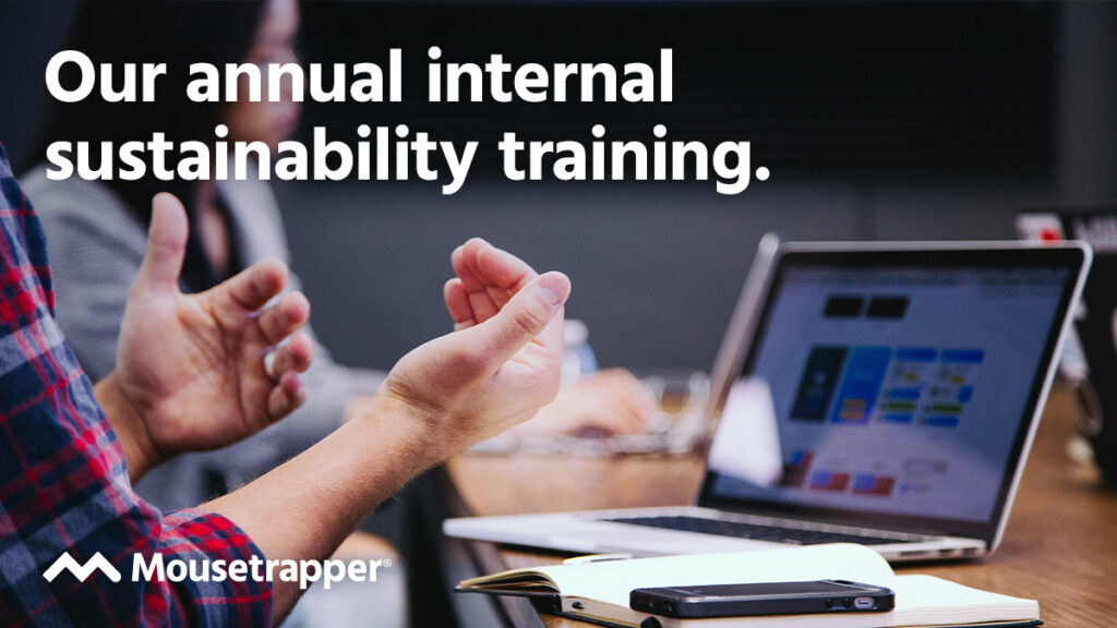 Insight from Our Internal Sustainability Training: Hooray for ...